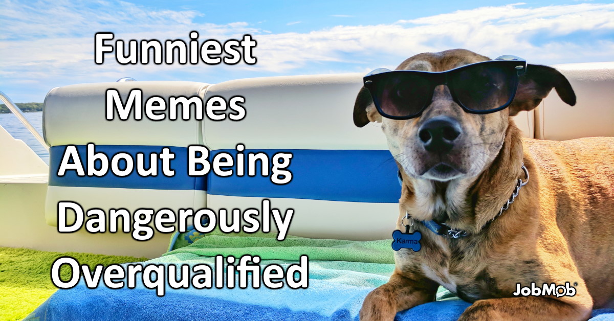 😆 Funniest Memes About Being Dangerously Overqualified