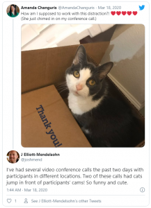 🤣 15 Hilariously Bad Video Conference Fails